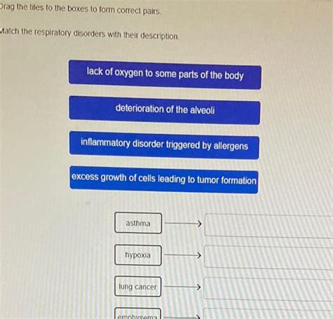 [answered] Drag The Tiles To The Boxes To Form Correct Pairs Match The Kunduz