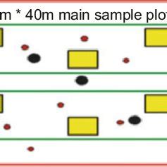 Nested Plot Design For Sampling Various Carbon Pools At Appropriate Scales Download Scientific