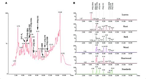 A A Uplc Ms Chromatogram Of A Heartwood Extract In Ms Full Scan