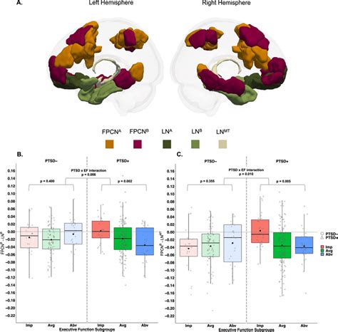 Functional Connectivity Across Executive Function Subgroups A