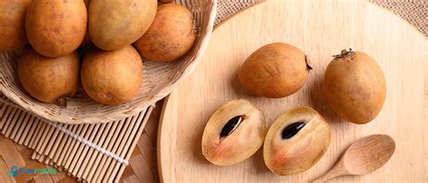 18 Benefits Of Sapota Or Chikoo Chiku Fruit And Its Nutritional Value