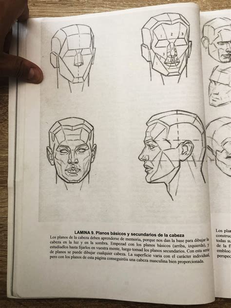 11 Consejos De Andrew Loomis Introducción Al Método Loomis