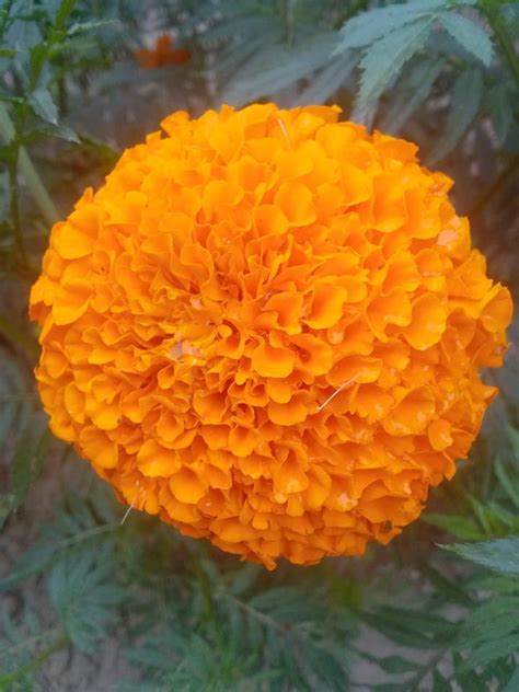 Fbreels Amazing Reelsvideo Omg Reelsfb Love Followers Everyone