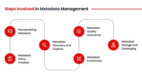 Understanding The Basics Of Metadata Management