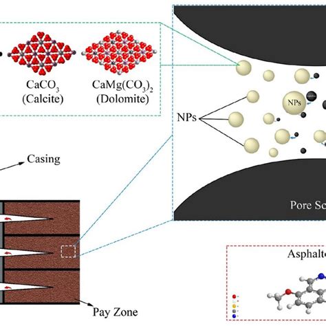 Molecular Illustration Of The Issue Under Investigation In The Current Download Scientific