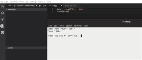 Vscode Can T Debug And Launch Python Code In External Terminal On My Linux Distro Issue