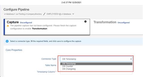 database timestamp connector radiant logic documentation