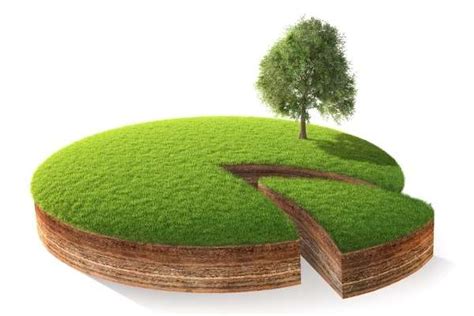 ЕКСПЕРТНО ГРОШОВА ОЦІНКА ЗЕМЕЛЬНИХ ДІЯЛНОК ТОВ «Експертна служба України Esu Оцінка майна