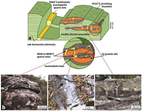 A Vein Of Ore In The Earth Is Called The Earth Images Revimageorg