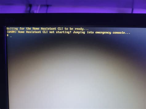 Home Assistant Cli Not Starting Jump Into Emergency Console Home Assistant Green Installation