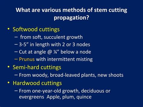Propagation Of Rootstocks In Temperate Fruits Final Rootstock What