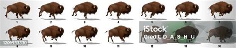 Bison Run Cycle Animation Frames Loop Animation Sequence Sprite Sheet