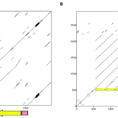A Dotplot Of One Of The Clusters For Tinfsat04 1000 Obtained In The