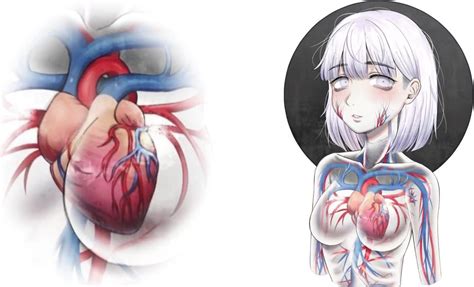 Heartbeat Animation ThisVid Com