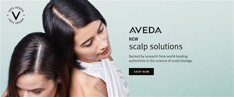 Buy Aveda Scalp Solutions Balancing Hair Care Hairshop