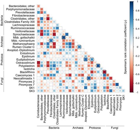 spearman correlation graph