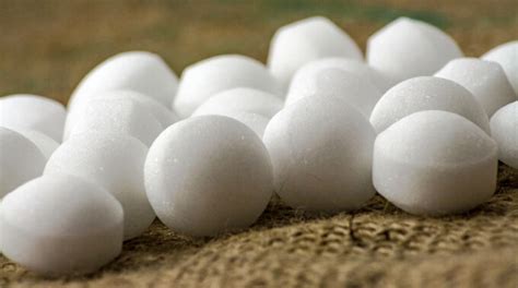 How To Get Rid Of Mothball Smell In Your Home