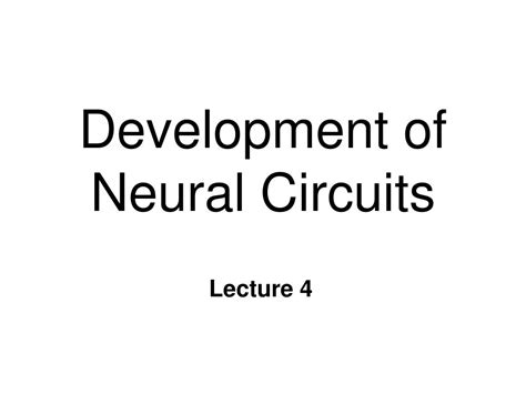 Ppt Development Of Neural Circuits Powerpoint Presentation Free
