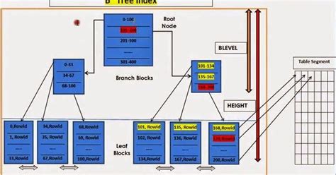 Its All About Oracle Introduction To Indexes B Tree Indexes Index