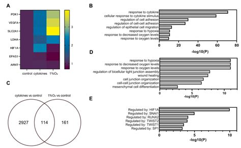 Global Gene Expression Analysis Using Rna Seq And Next Generation Download Scientific Diagram