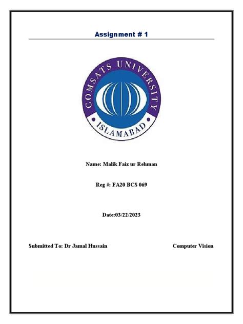 assignment 1 pdf