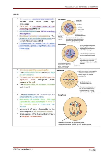 Biosci 107 Module 2 Biosci 107 Biology For Biomedical Science