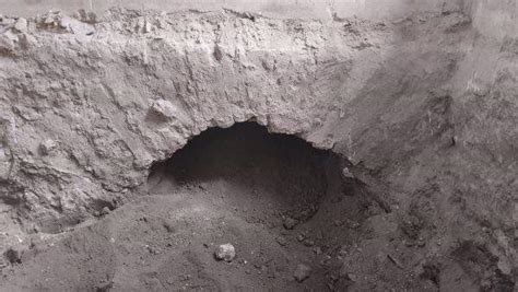 Старовинні склепіння ліцею ім Аркаса захистять під час відновлення Миколаївська Правда