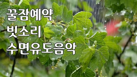 부드러운 빗소리 수면 유도 음악 20분 뒤 어두운 화면 Youtube