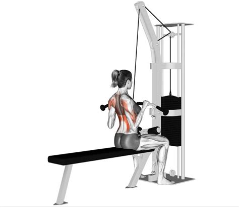 اجرای حرکت لت با دسته های مختلف، چه تفاوتی با هم دارد؟