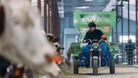 Д БЯМБАДОРЖ Хүүхдийн сүү сүүн бүтээгдэхүүний хэрэглээг дотоодоос бүрэн хангадаг жишиг