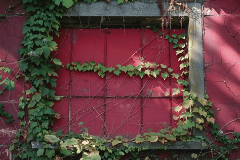 Easy And Fast Api Development With Bun And Hono A Simple Project In 5 Minutes Dev Community