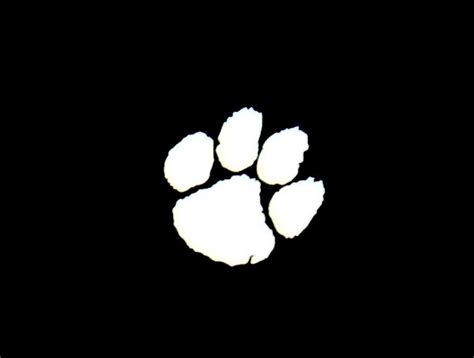 Black And White Tiger Paw Print