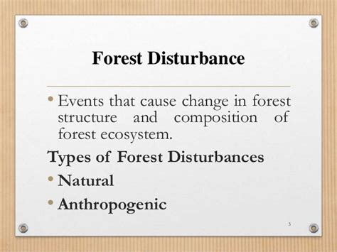 Forest Disturbance