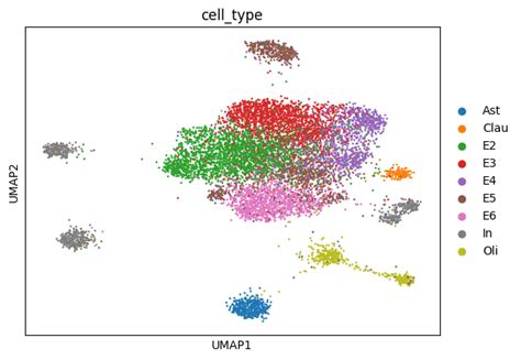 Matched Mouse Cortex Data Expeirment — Sccross 105 Documentation