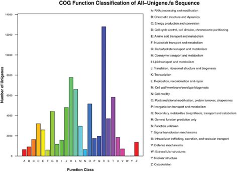 Cog Function Classification Of Radish Unigenes Download Scientific