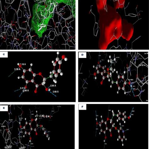 The Mol Dock Score Rerank Score And Hydrogen Bond Interaction Energy