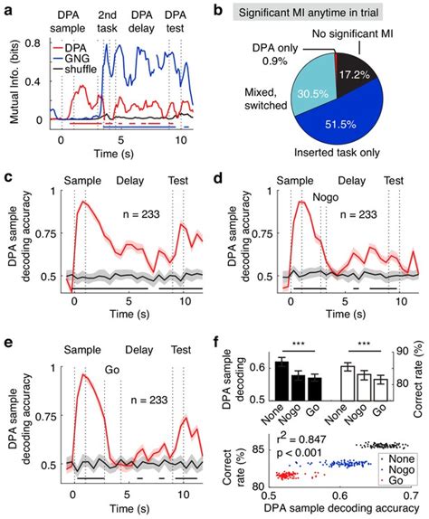 Active Information Maintenance In Working Memory By A Sensory Cortex Elife