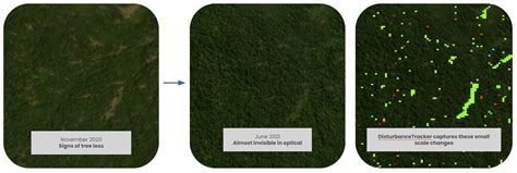 Forest Disturbance Tracking Space Intelligence