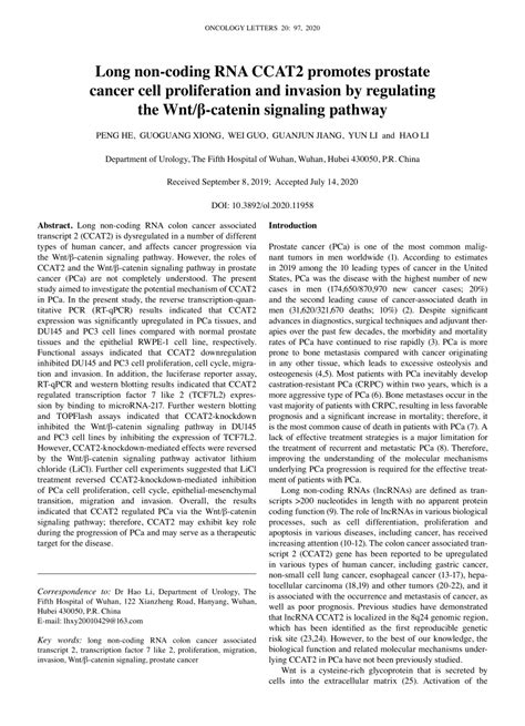 Pdf Long Non‑coding Rna Ccat2 Promotes Prostate Cancer Cell