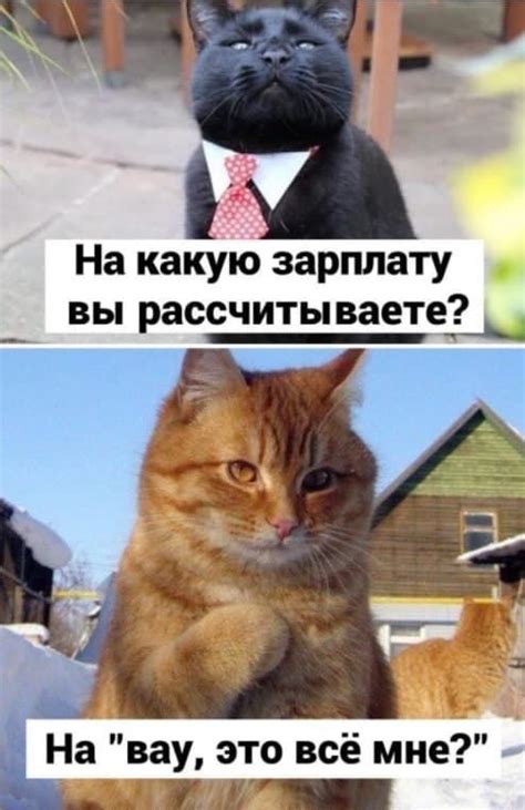 Vacancy Pythondeveloper Relocation Poland Wroclaw Python Elena Matsel