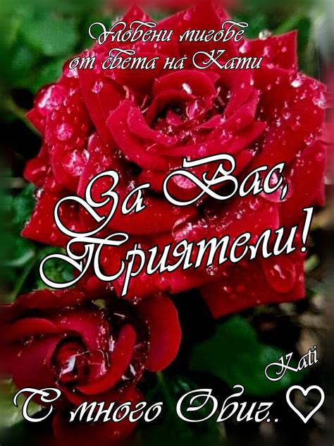 ЗА ВАС ПРИЯТЕЛИ 🌹 🌹 Уловени мигове от света на Кати