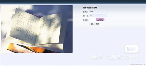基于jsp和servlet的图书管理系统 阿里云开发者社区