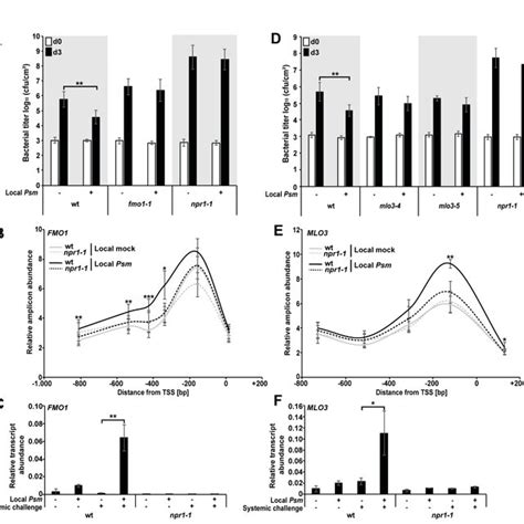 Revised Consensus Dna Sequence Motifs A Enrichment Ratio Of Dna