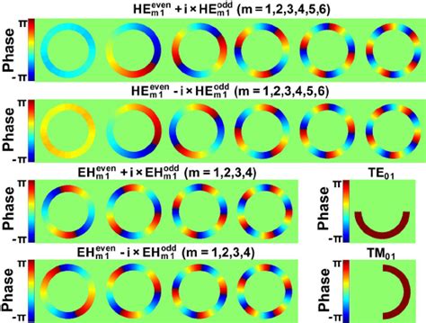 Spatial Phase Distributions Of The X Component Electric Field Of 22
