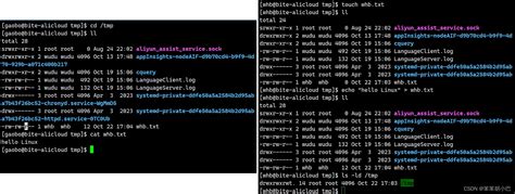 【linux权限：系统中的数字锁与安全之门】 linux使用超级用户 csdn博客