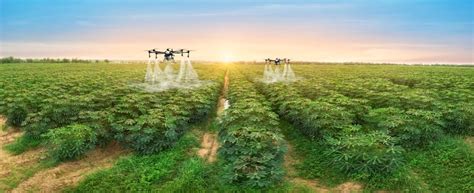 Geoai In Crop Analytics Sustainable Agriculture