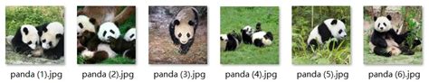 一起来用tfdata Api!(4)——使用图像数据制作tfrecords文件使用tf。data制作分类数据集 Csdn博客 一起来用tfdata Api!(4)——使用图像数据制作tfrecords文件使用tf。data制作分类数据集 Csdn博客