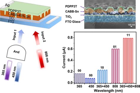 Ultraviolet Visible Near Infrared Broadband Photodetector Enabled By Cs2agbibr6 Sn Conjugated