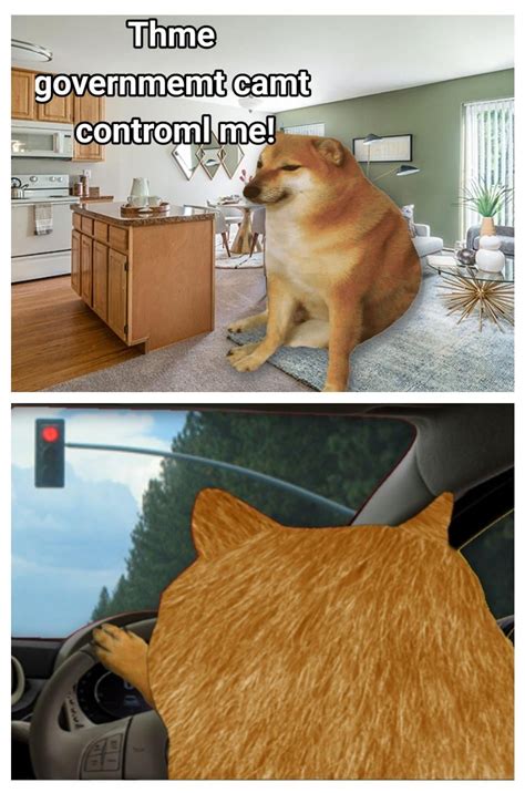 Le Based Alpha Gigchad Grazillionare Mindset Behavior Has Arrived R