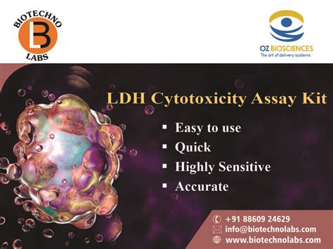 Ldh Cytotoxicity Assay Kit Ldh Cytotoxicity Assay Kit